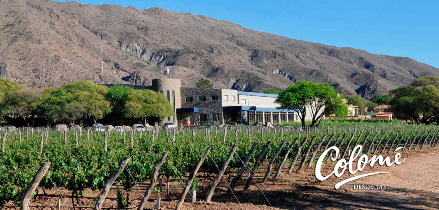 Bodega Colomé - Mediterranean Distribucion - 1